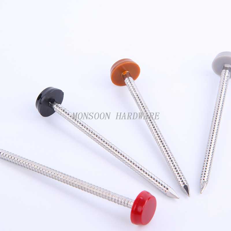 Hot Sale ANSI DIN China 2.0X30mm 2.0X40mm Plastic Top Nail Nails